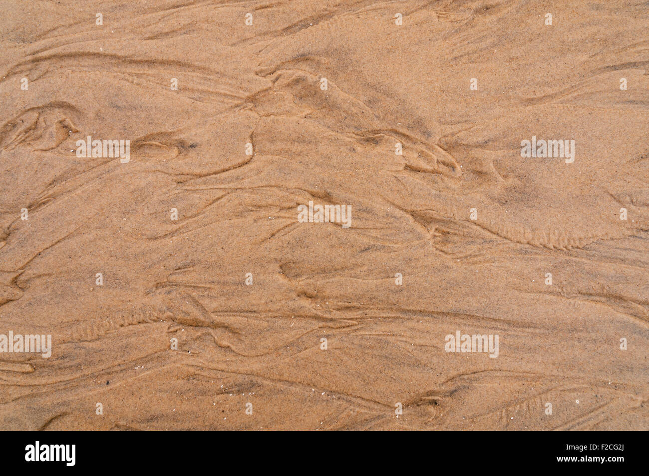 Patterns in the sand created by the movement of water Stock Photo - Alamy