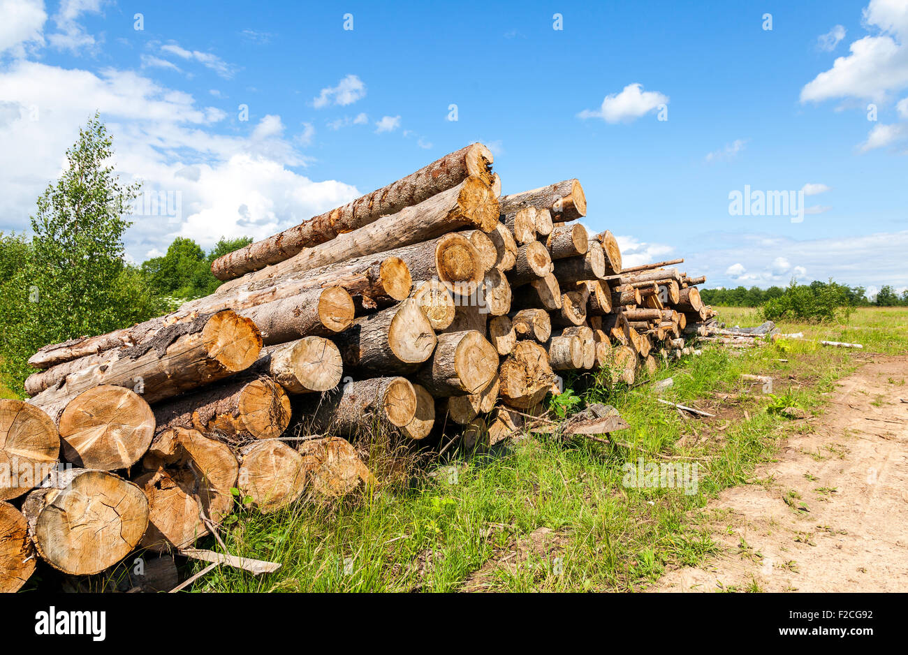Piles Of Wood High Resolution Stock Photography and Images - Alamy