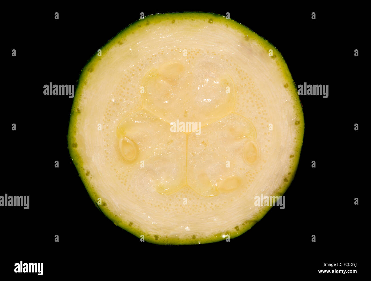 inside of a courgette on black background Stock Photo - Alamy
