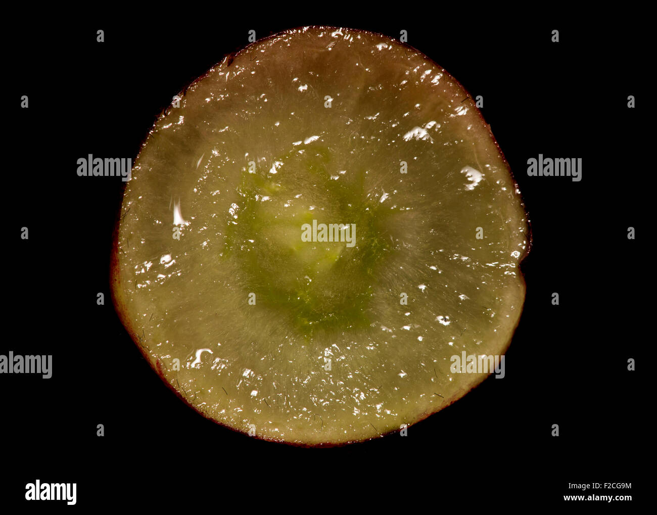 inside of a red grape on black background Stock Photo - Alamy