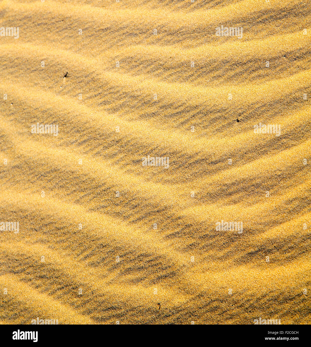 the brown sand dune in the sahara morocco desert Stock Photo - Alamy