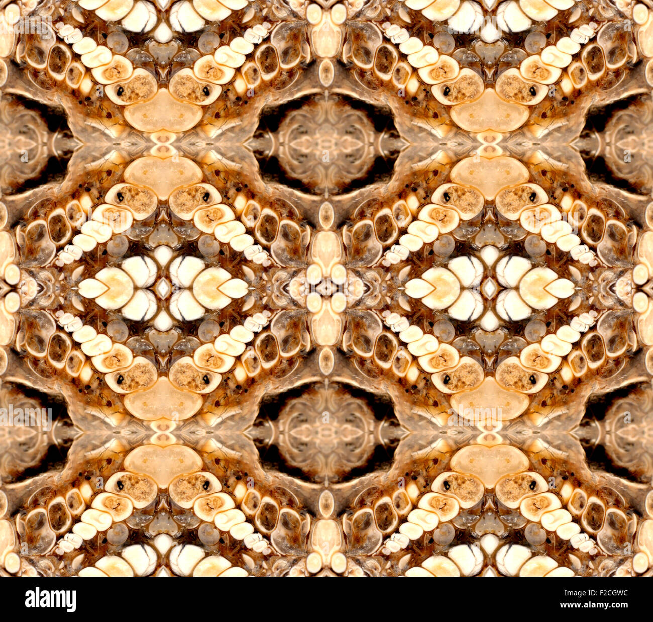Symmetrical nature hi-res stock photography and images - Alamy
