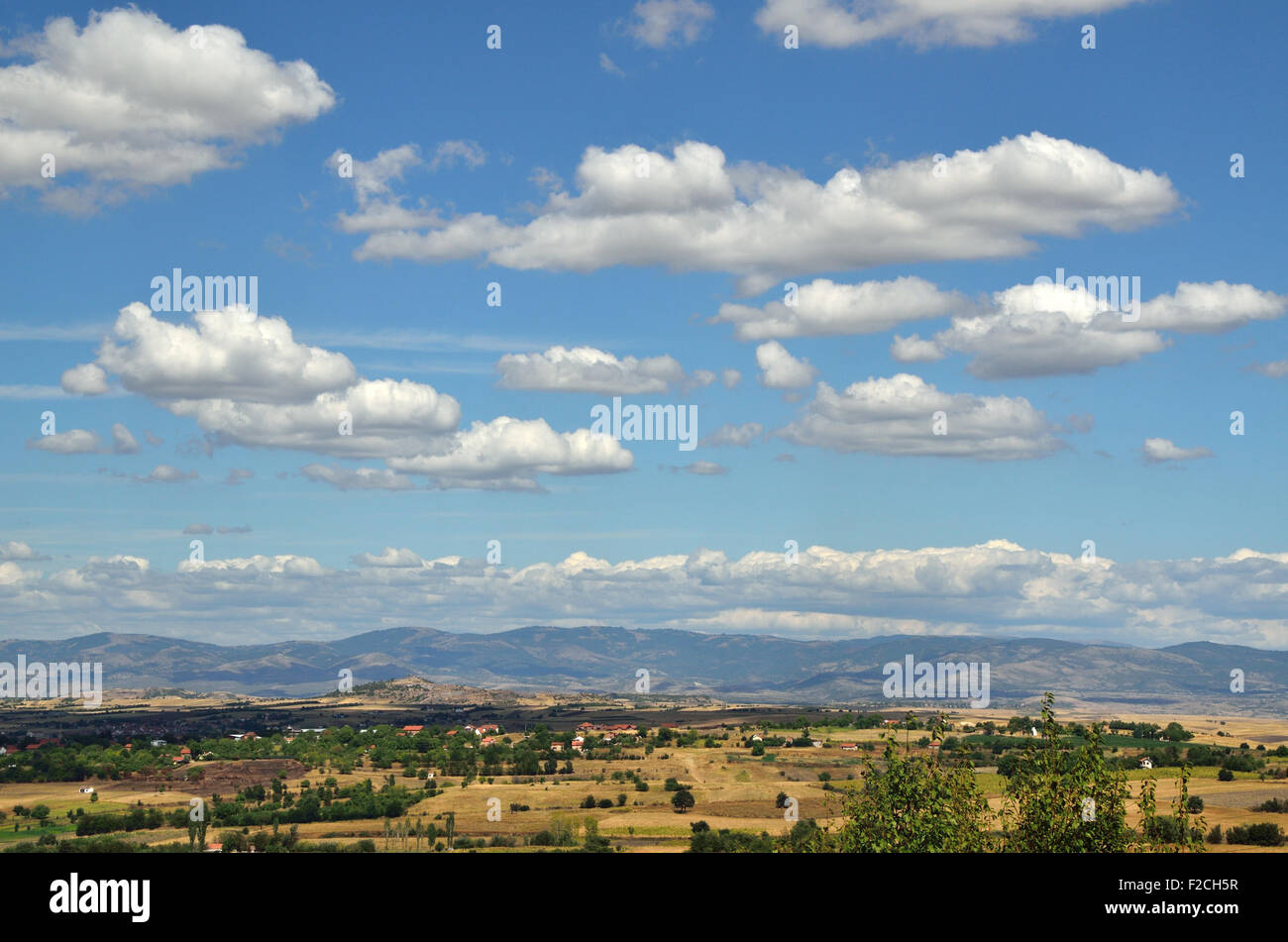 Pelagonia hi-res stock photography and images - Alamy