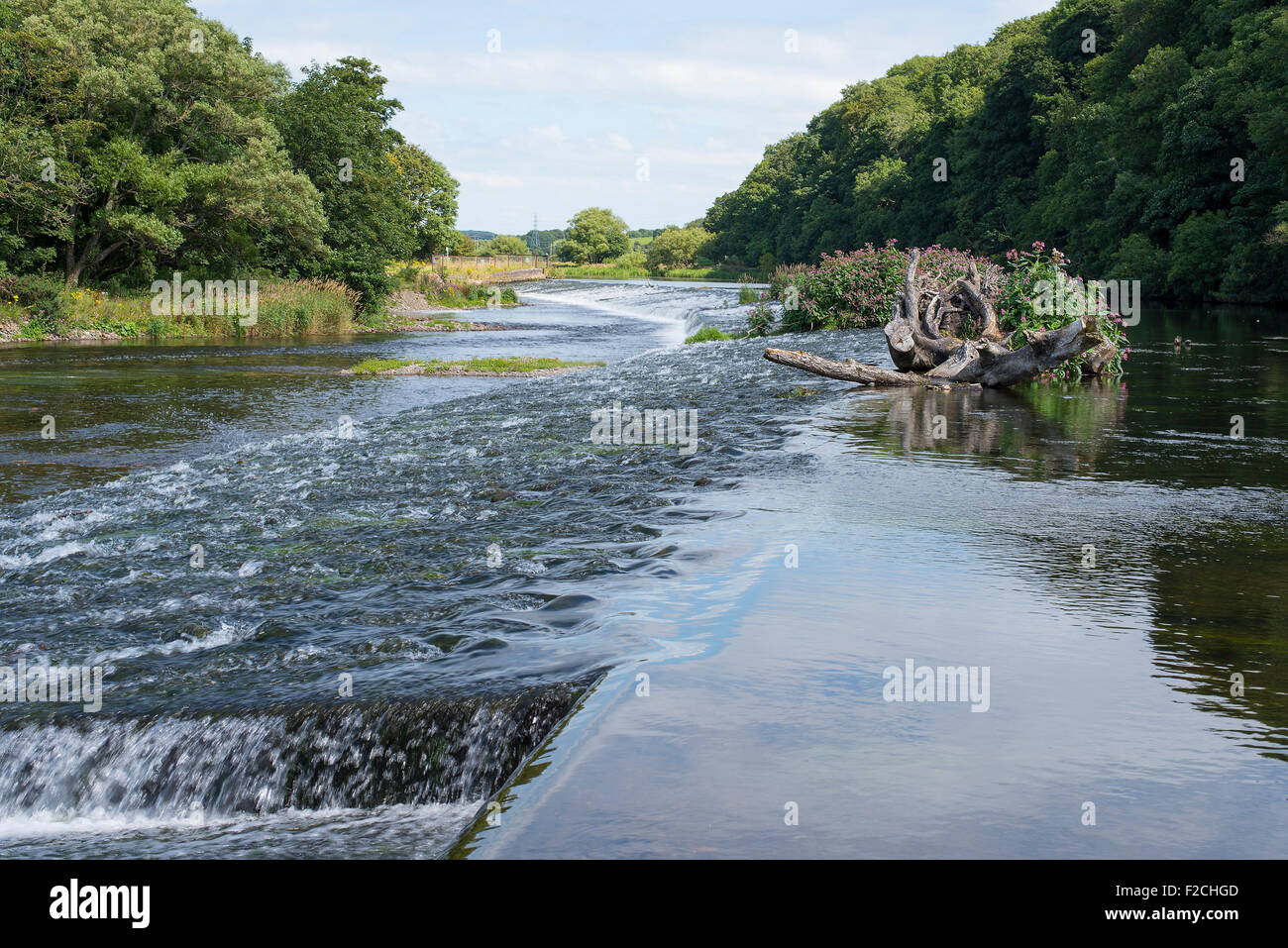 View of the river Derwent at Mill Field Workington looking up stream ...