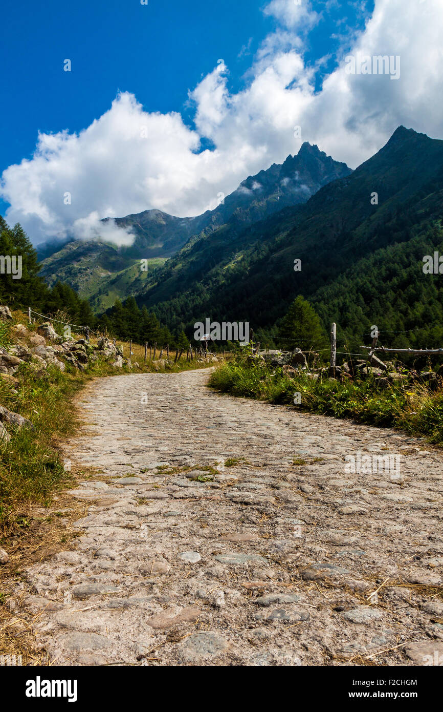 Val Camonica is a valley in the north of Italy Stock Photo - Alamy