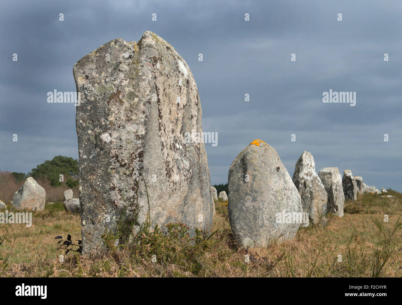 Carnac in northern France,Neolithic stone construction of 10000 stones ...