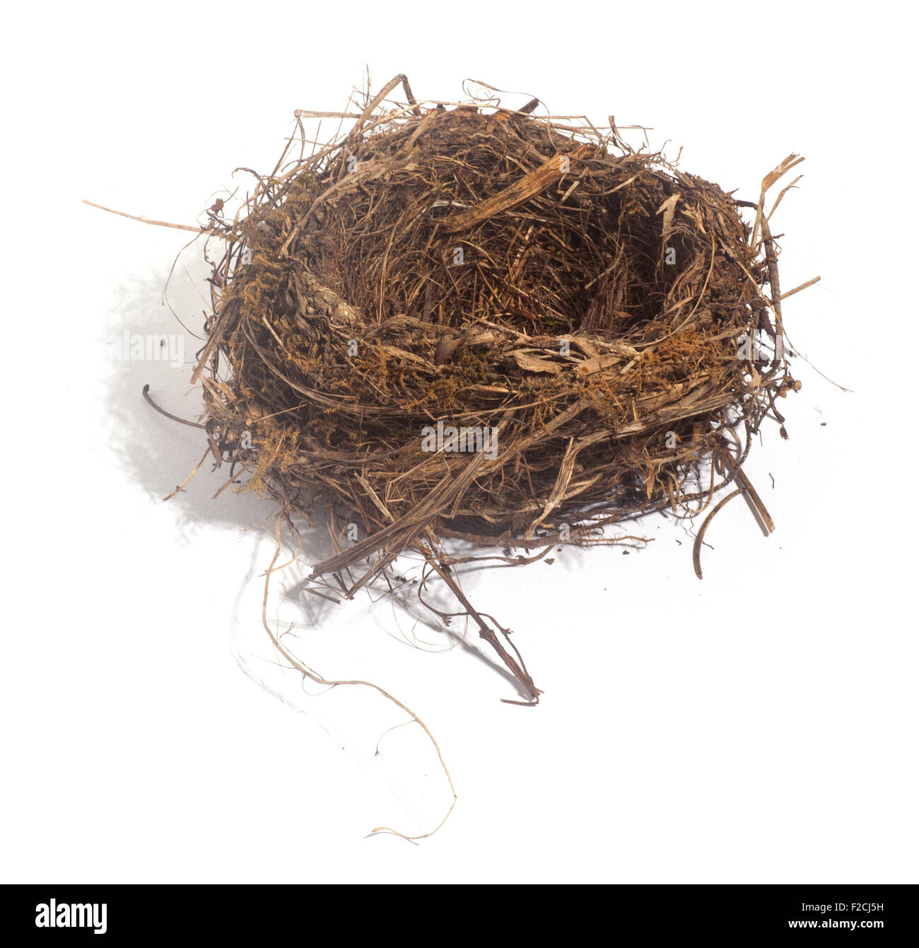Close up abandoned nest hi-res stock photography and images - Alamy