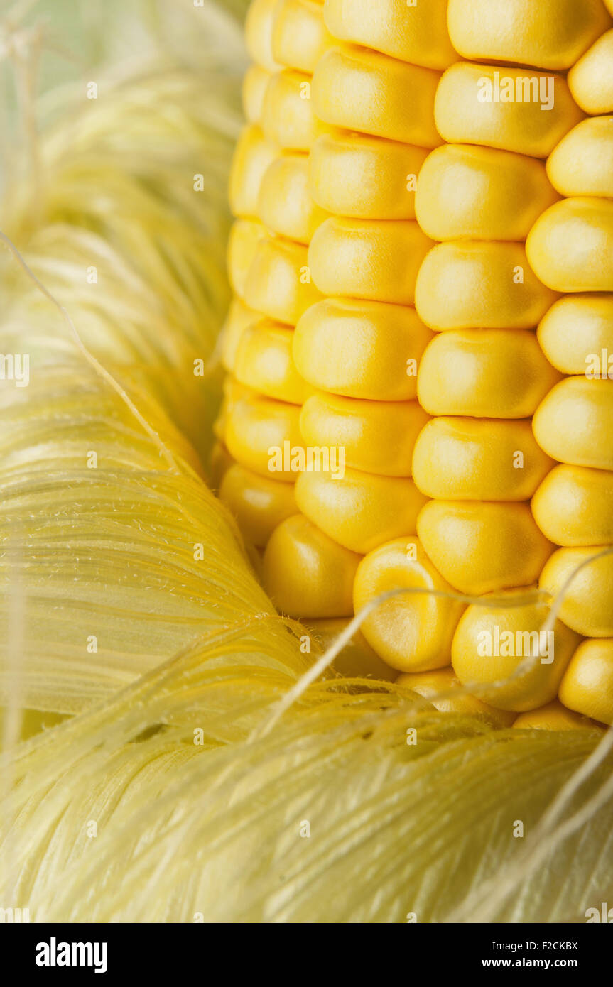 Grains of ripe corn Stock Photo - Alamy