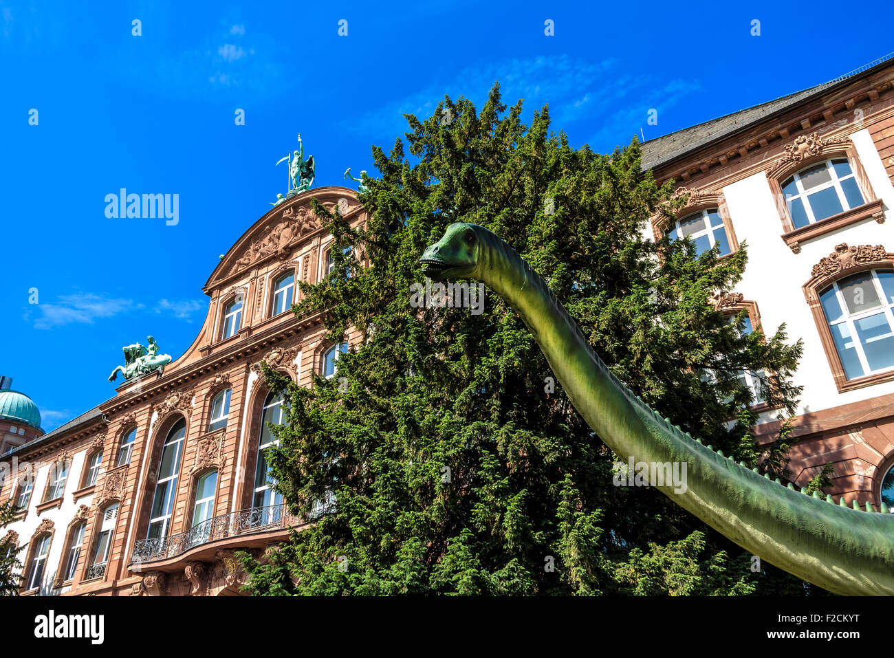The Naturmuseum Senckenberg Museum in Frankfurt am Main, Germany Stock ...