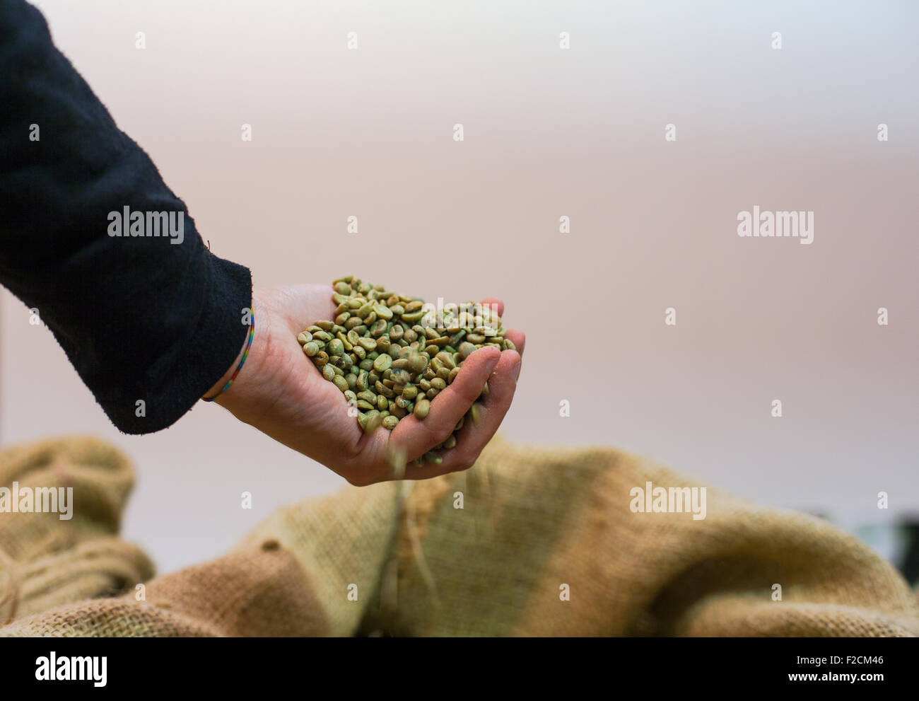 Hand touching coffee beans inside the jute bag Stock Photo - Alamy