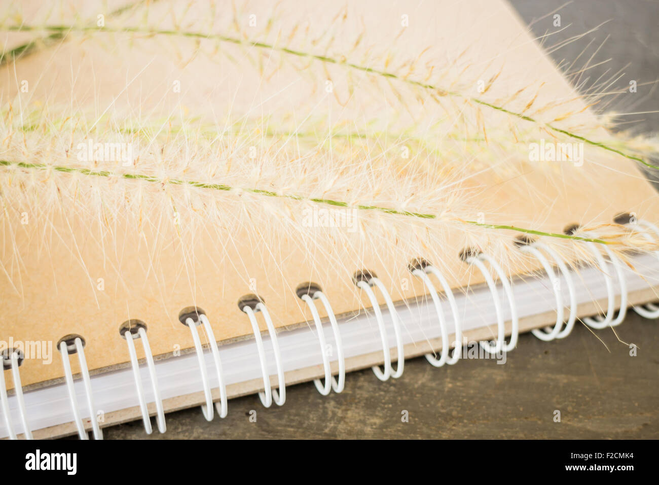 Simple decorate of creative work table, stock photo Stock Photo - Alamy