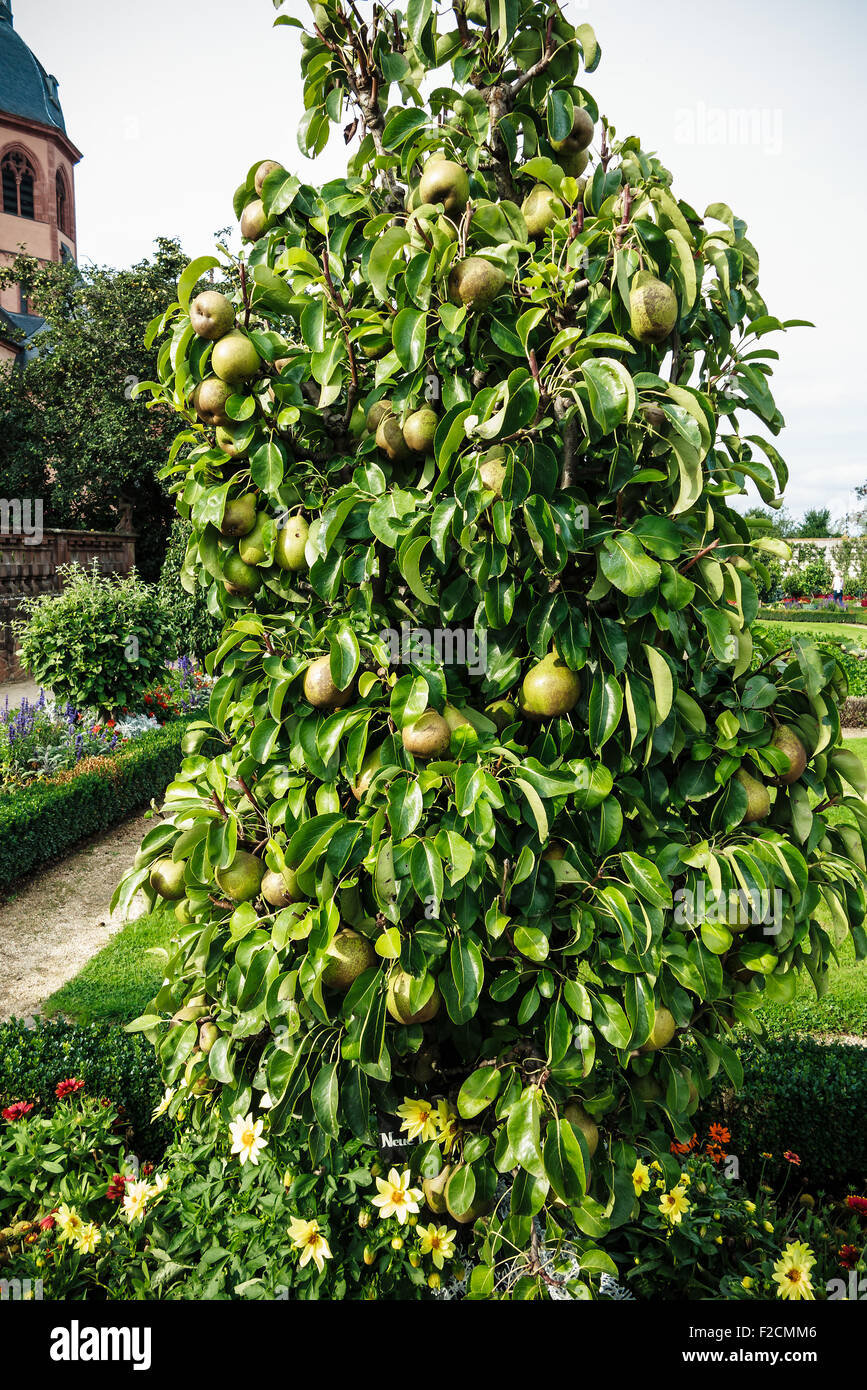 Dwarfish hi-res stock photography and images - Alamy