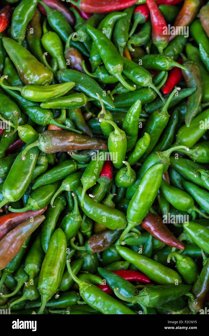 Heap of red and green Cayenne pepper is also called Guinea spice, cow ...