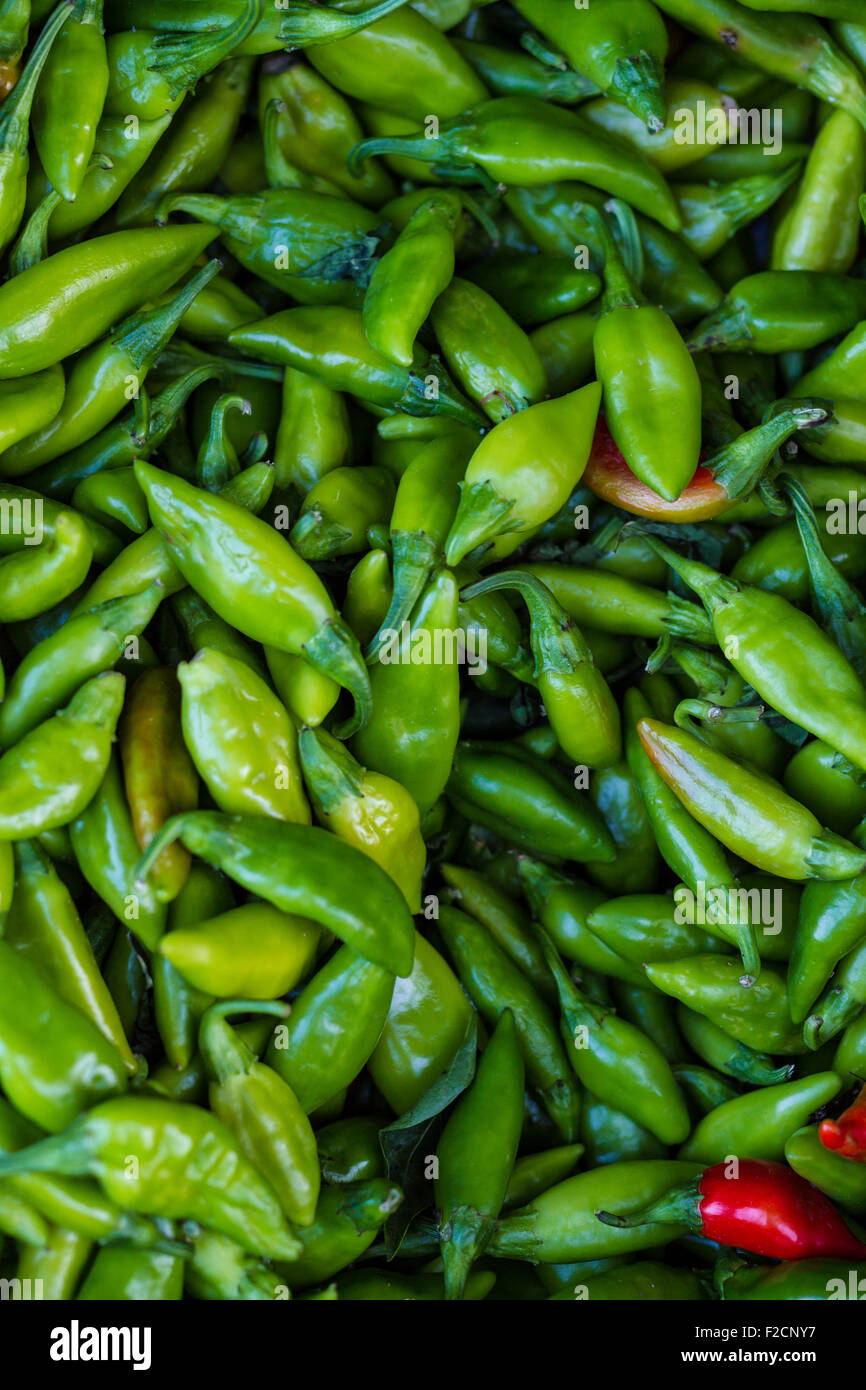 Heap of red and green Cayenne pepper is also called Guinea spice, cow ...