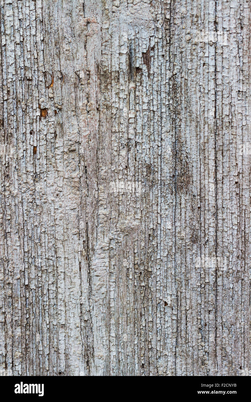 Wood cracks hi-res stock photography and images - Alamy