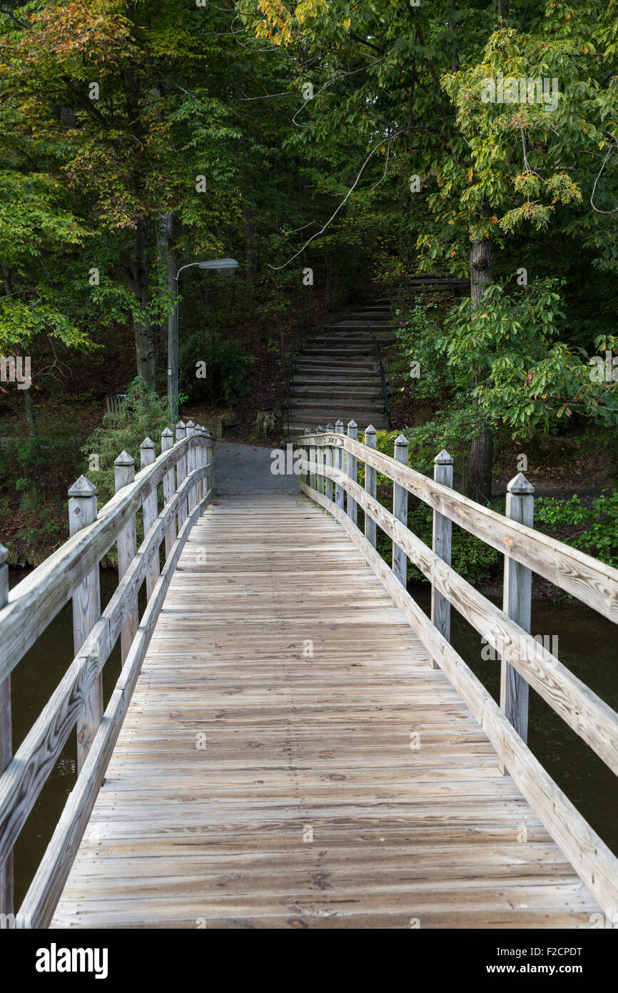 Country wooden bridge Stock Photo - Alamy