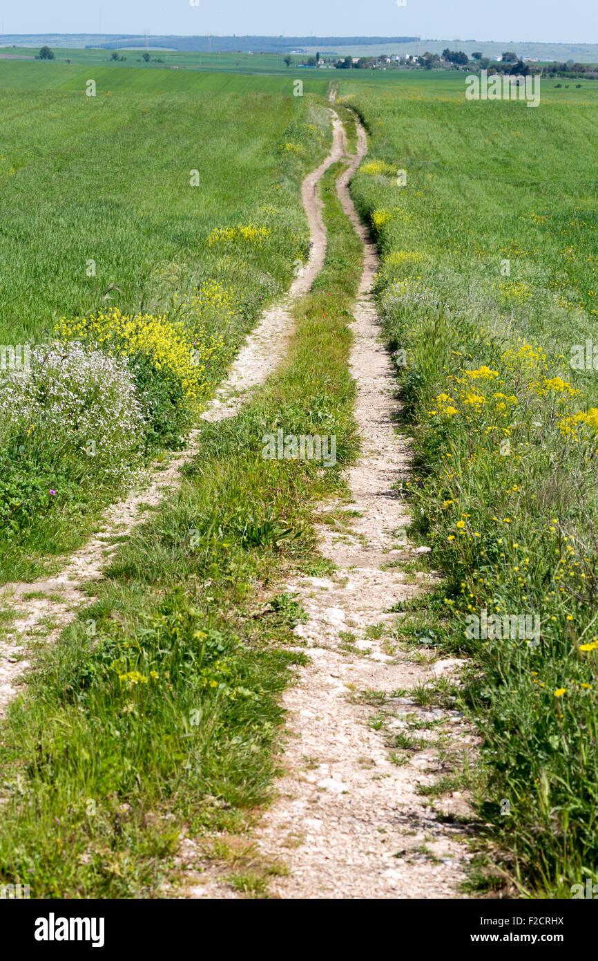 Tracks in the countryside, Basilicata, Italy Stock Photo - Alamy