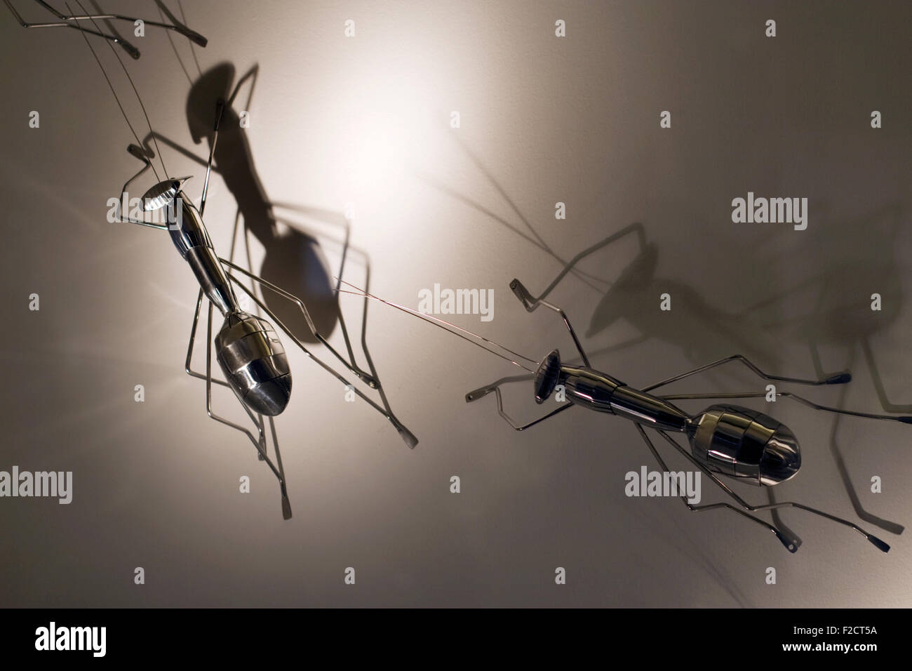 Metal ants hi-res stock photography and images - Alamy