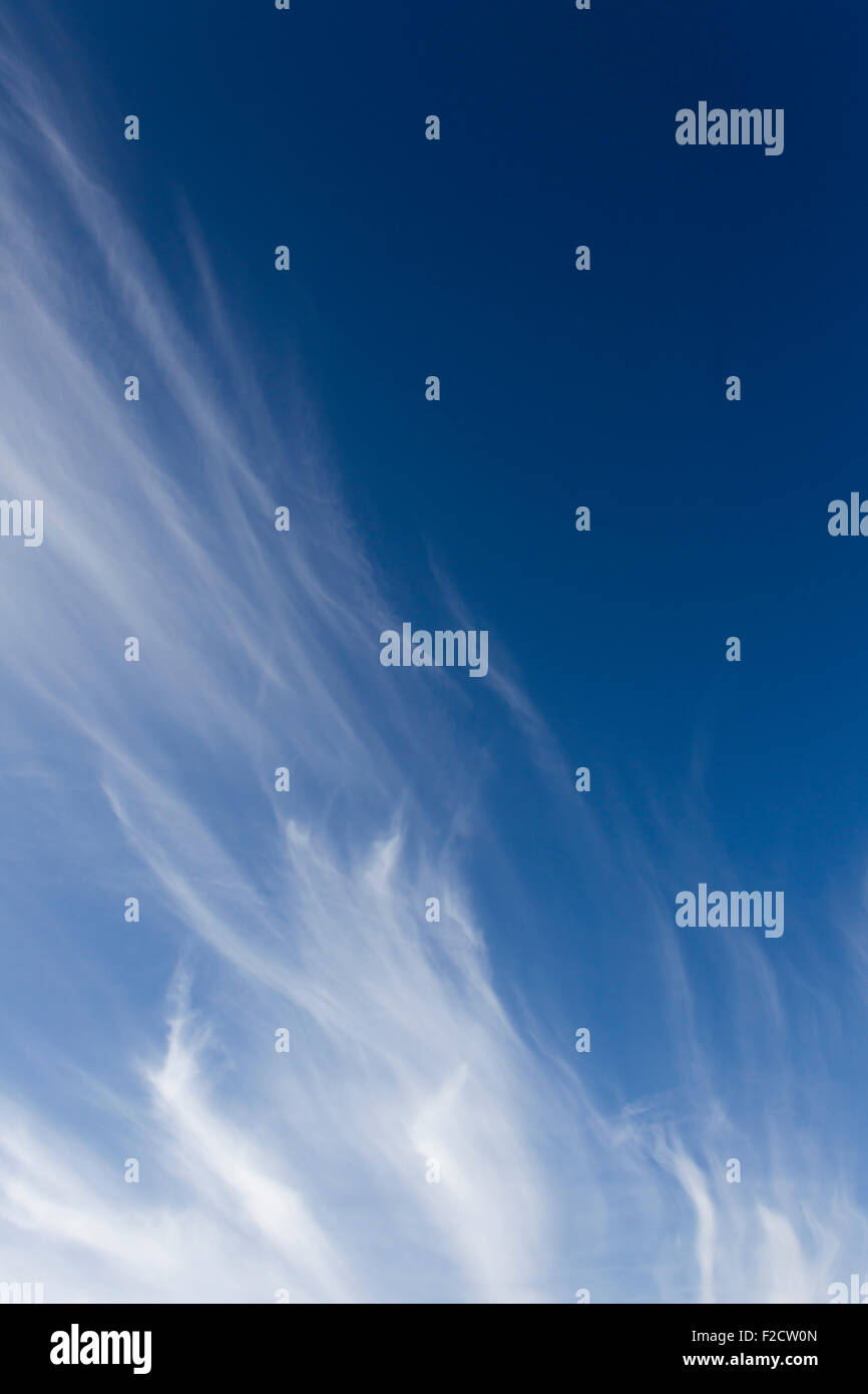 Wispy horse's tails cirrus clouds against a blue sky Stock Photo - Alamy