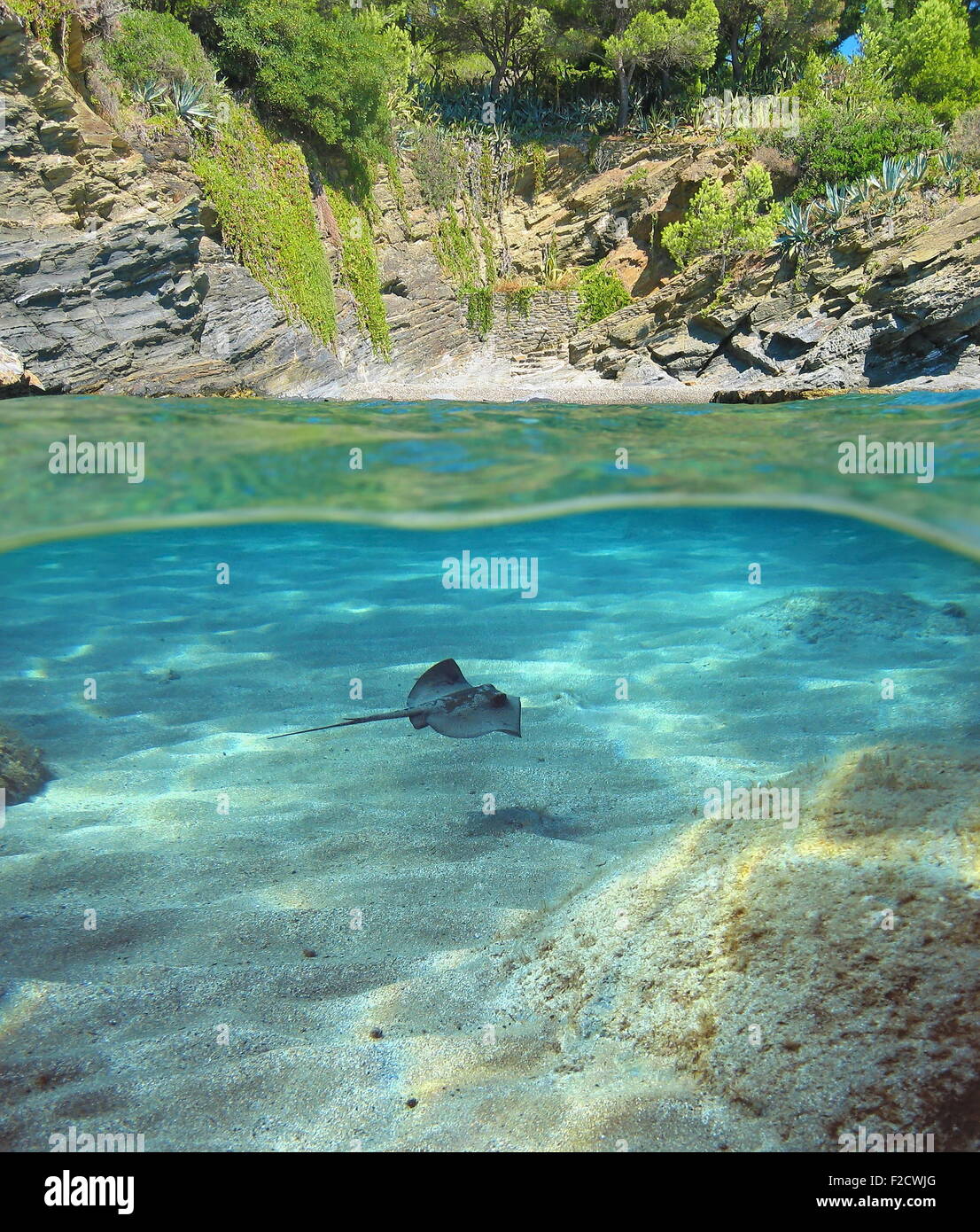 Above and below sea surface near the shore of a Mediterranean cove with ...