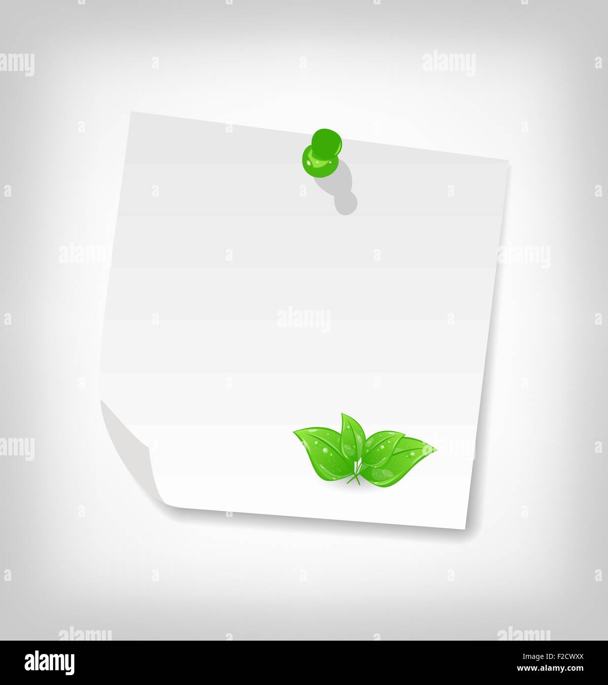 blank note paper with green leaves, isolated on white background Stock ...