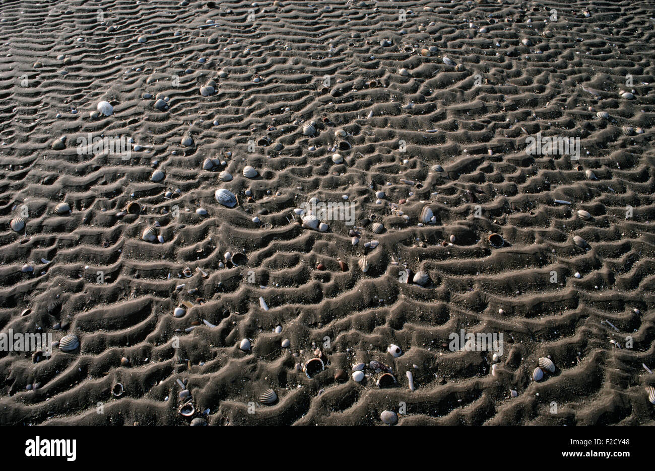 Rippled sand, Sandymount Strand, referred to in James Joyce 'Ulysses ...