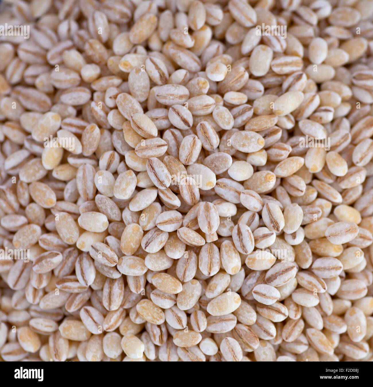 Whole wheat berries hi-res stock photography and images - Alamy