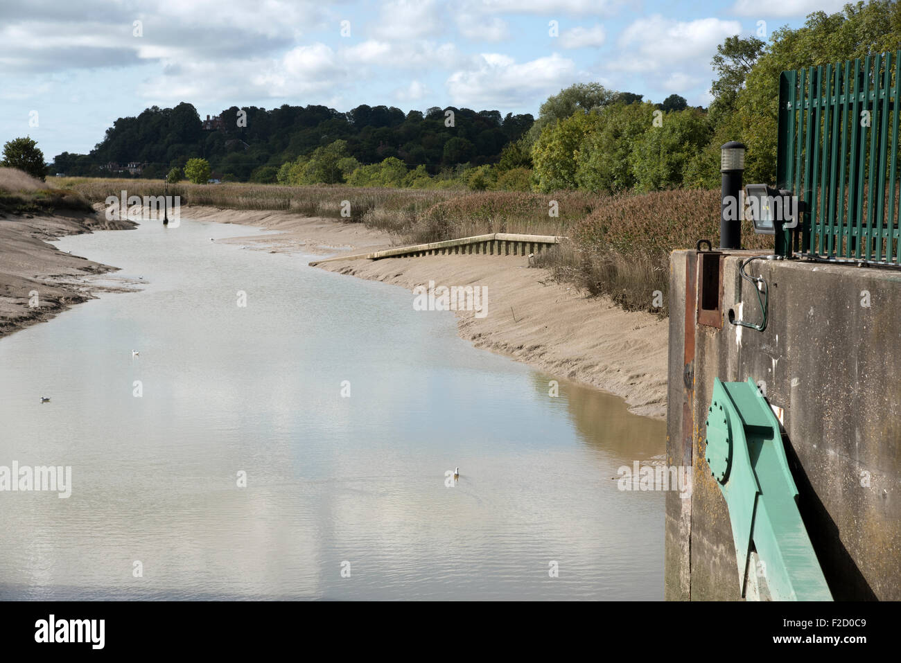 The Royal Military Canal seen from Iden Lock close to Rye East Sussex ...