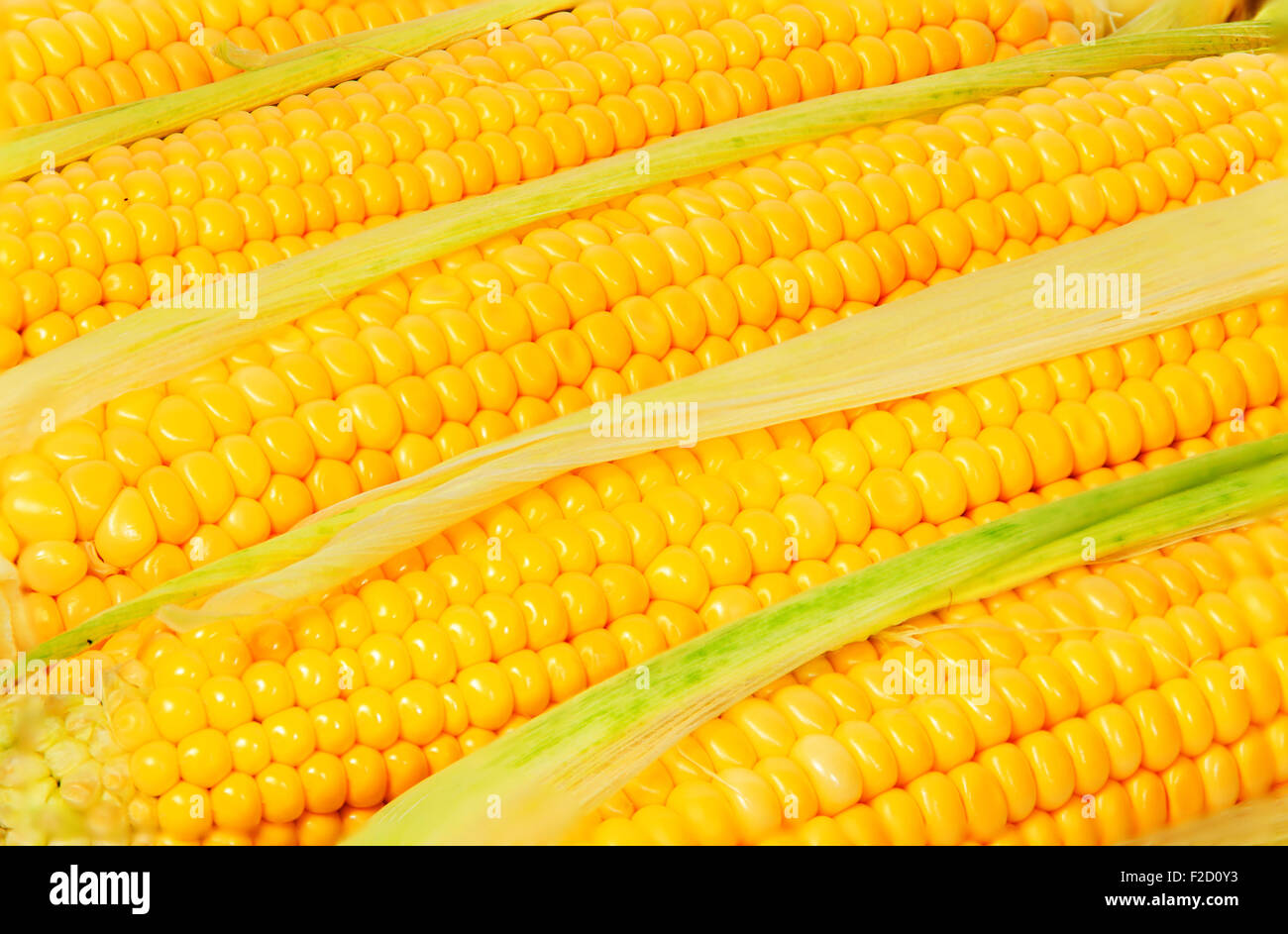 Fresh corn peeled hi-res stock photography and images - Alamy
