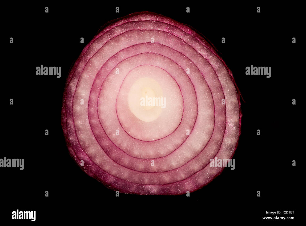 inside of a red onion on black background Stock Photo - Alamy