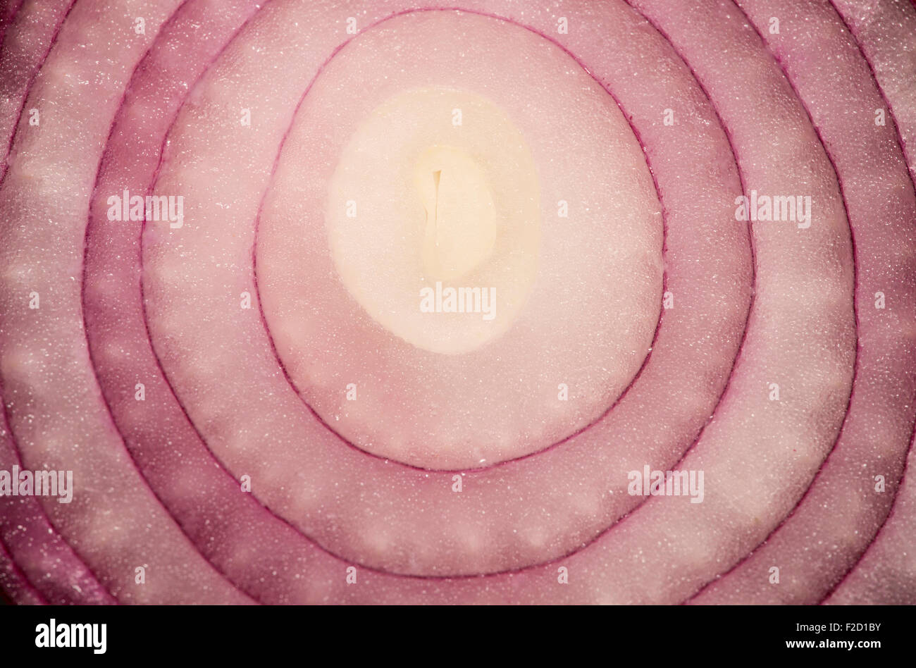 inside of a red onion abstract background Stock Photo - Alamy