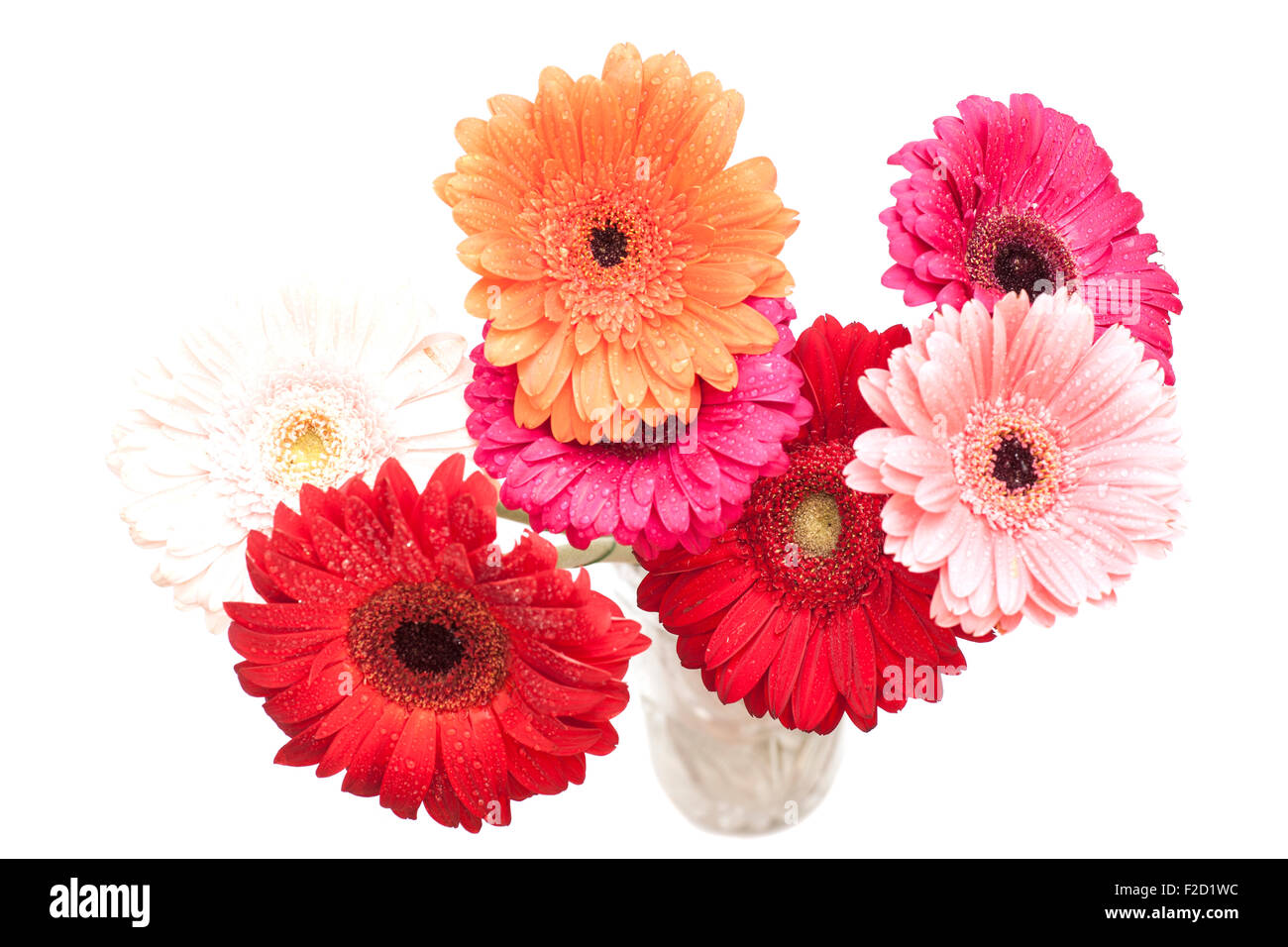 bouquet of gerberas on white background Stock Photo - Alamy