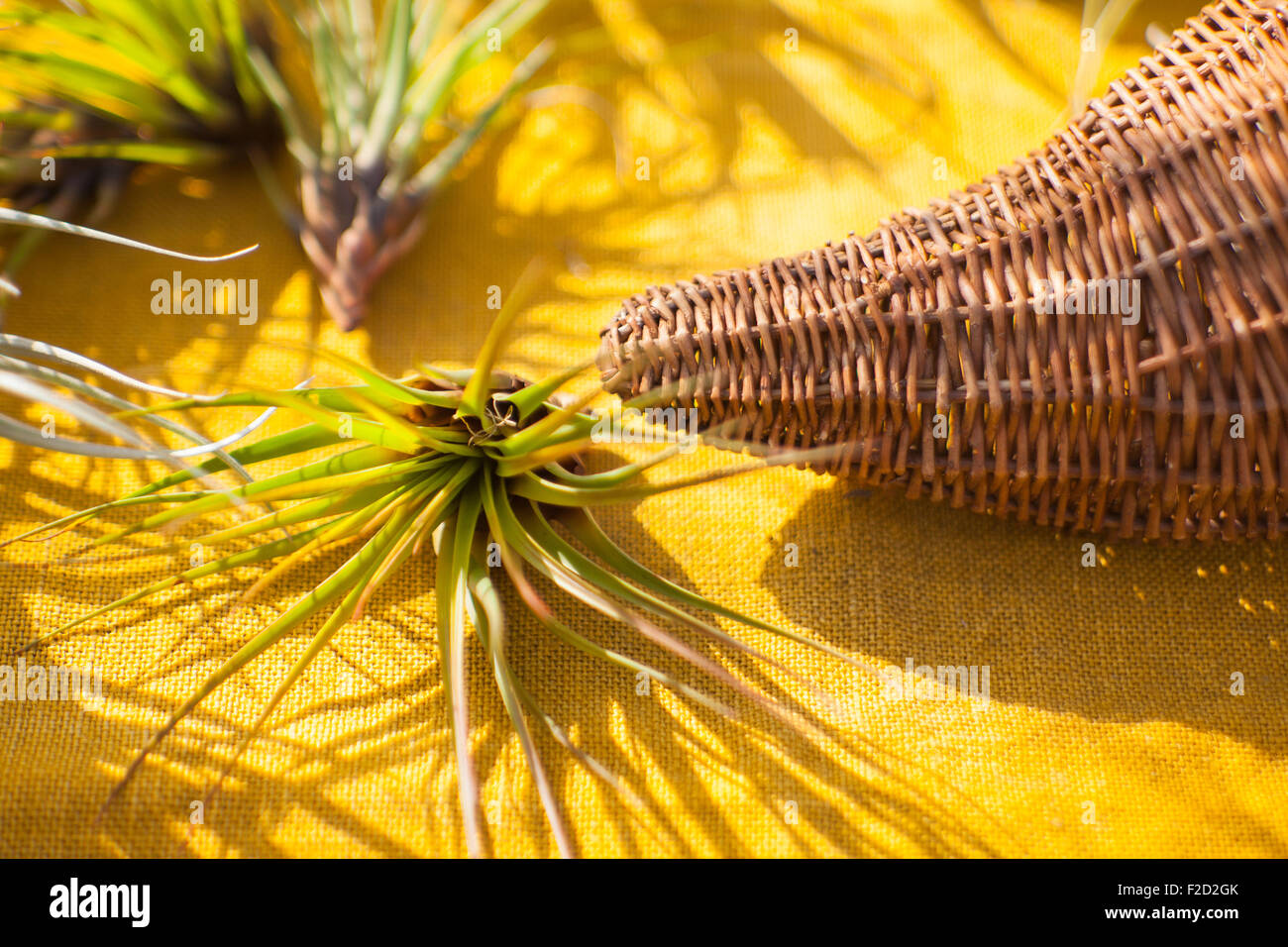 View of flowers inside a wicker basket Stock Photo - Alamy