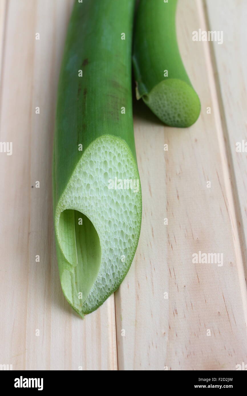 Taro stem hi-res stock photography and images - Alamy