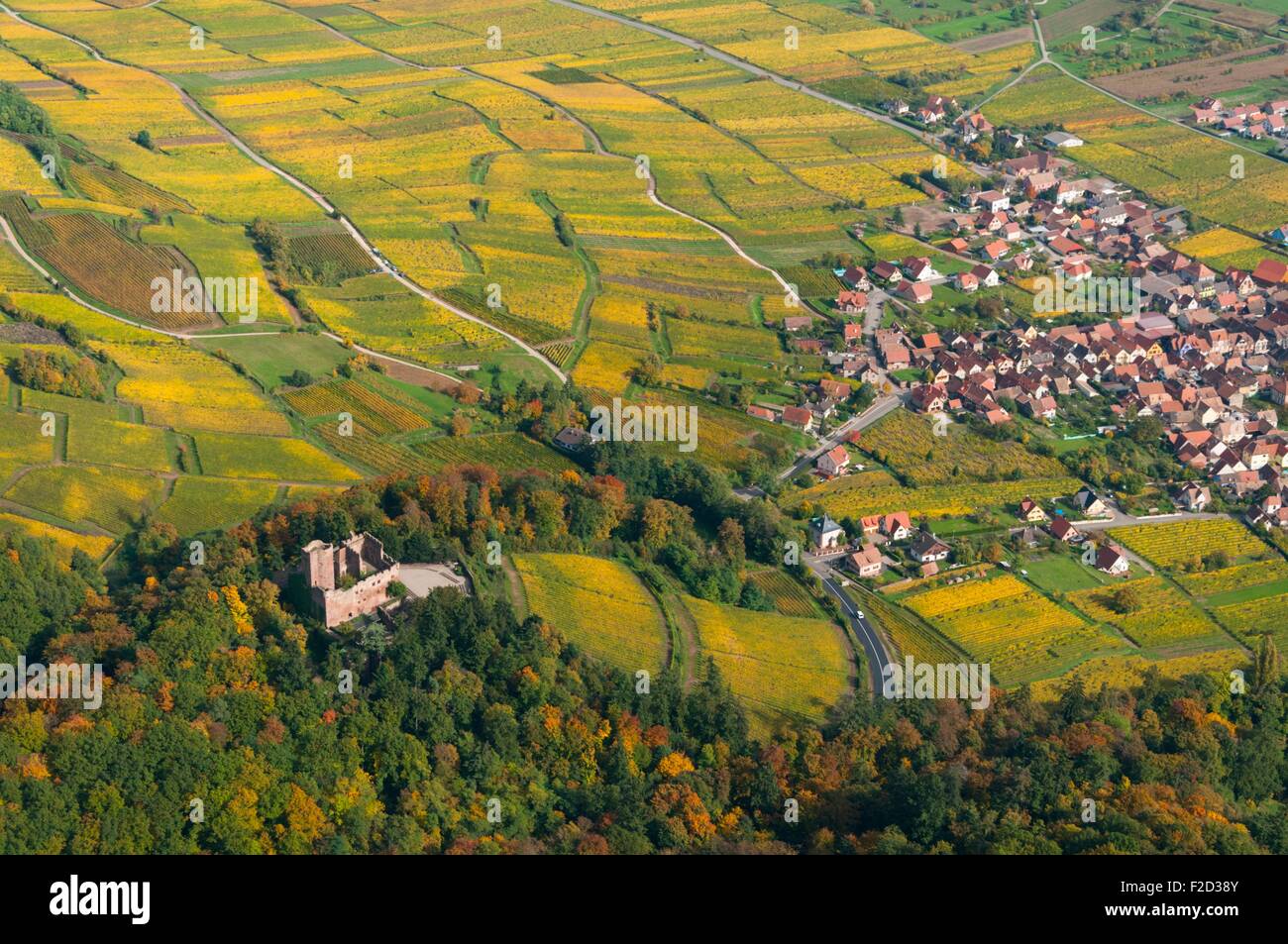 France, Bas Rhin (67), Wines road, village of Kintzheim, castle of ...