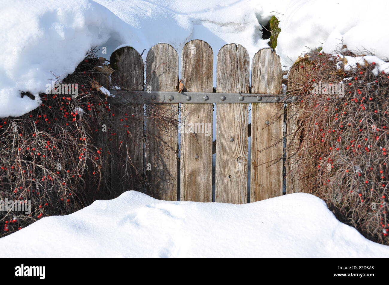 Garden-gate buried under snow Stock Photo - Alamy