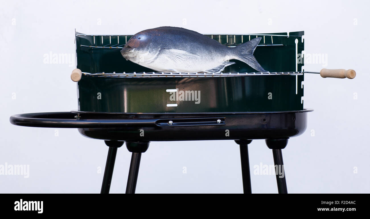 Photo of Fake barbeque with plastic toy fish Stock Photo - Alamy