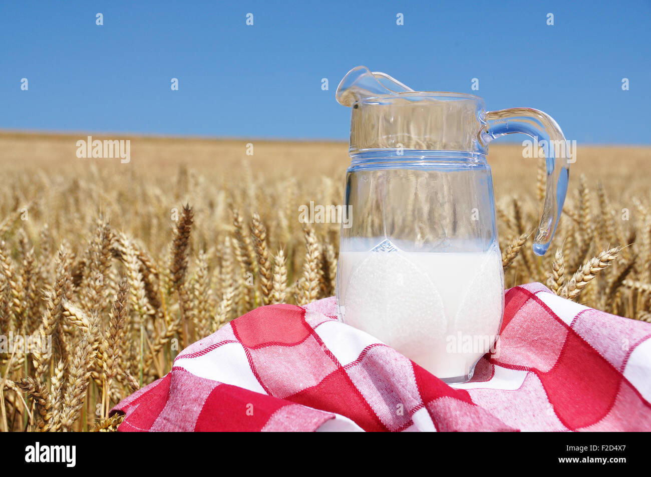 Jug of milk against wheat field Stock Photo - Alamy