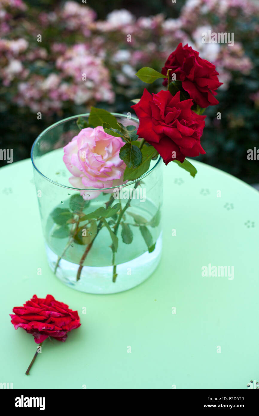 Red roses inside the glass pot Stock Photo - Alamy