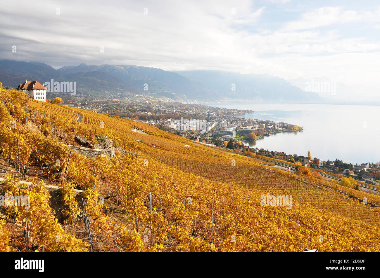 Vineyards in Lavaux region, Switzerland Stock Photo - Alamy