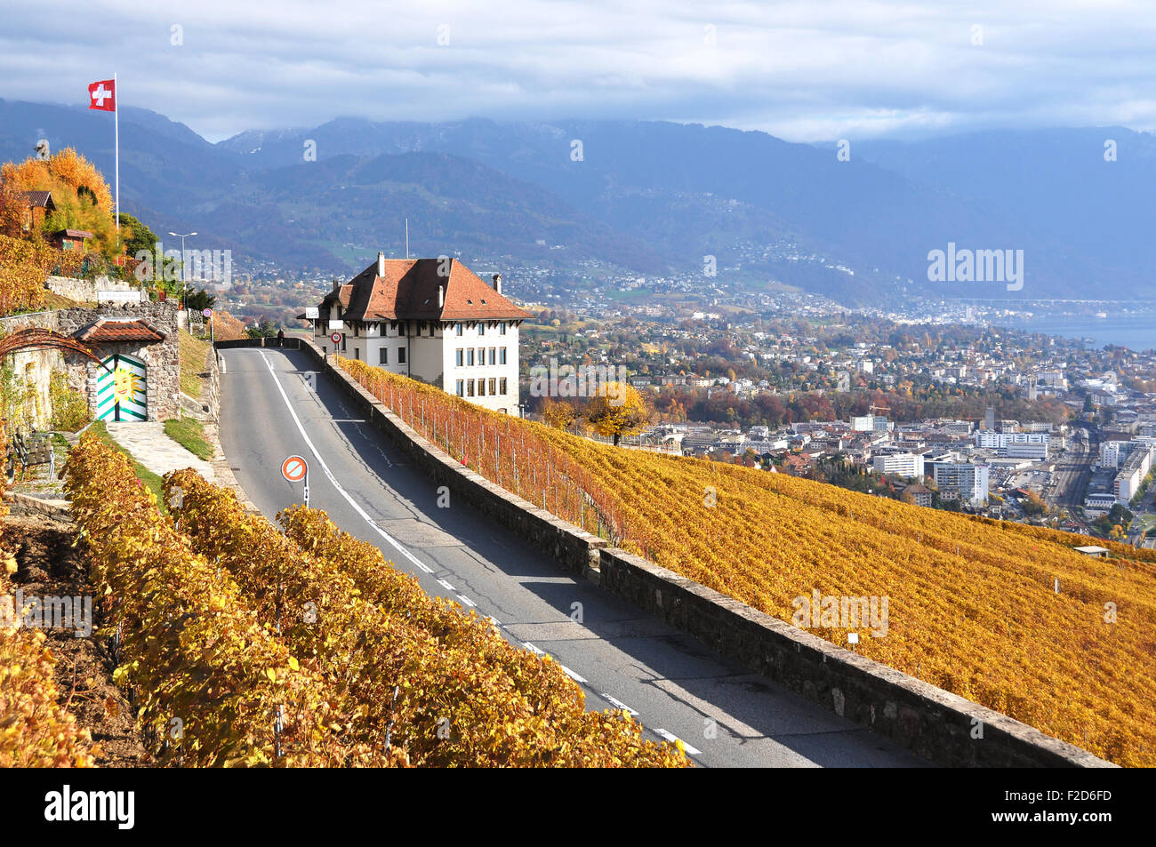 Car driving through vineyards hi-res stock photography and images - Alamy