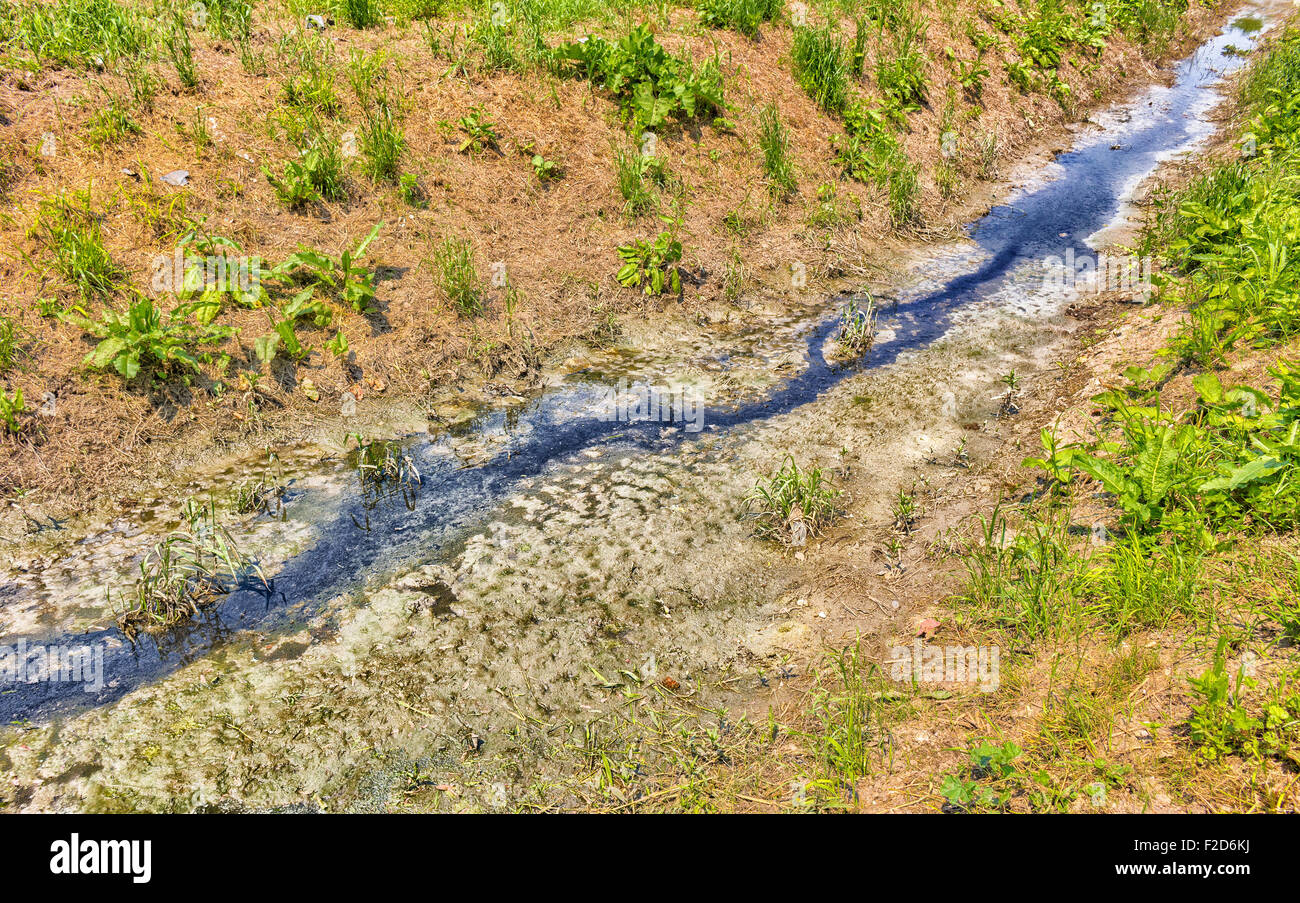 muddy stream through plants and weeds Stock Photo - Alamy