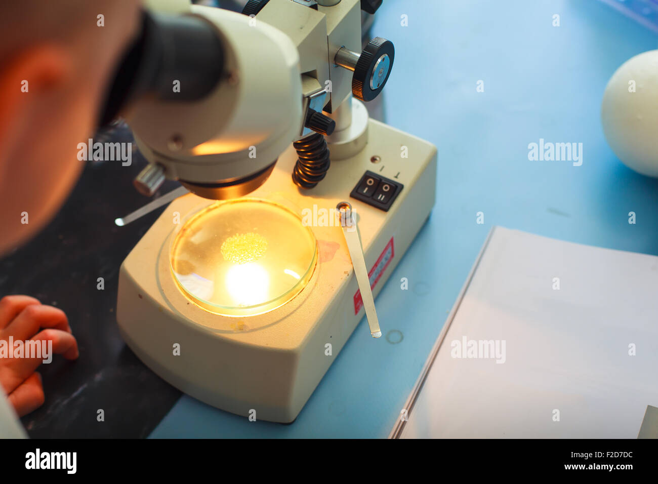 View of the Microscope in the analysis laboratory Stock Photo - Alamy