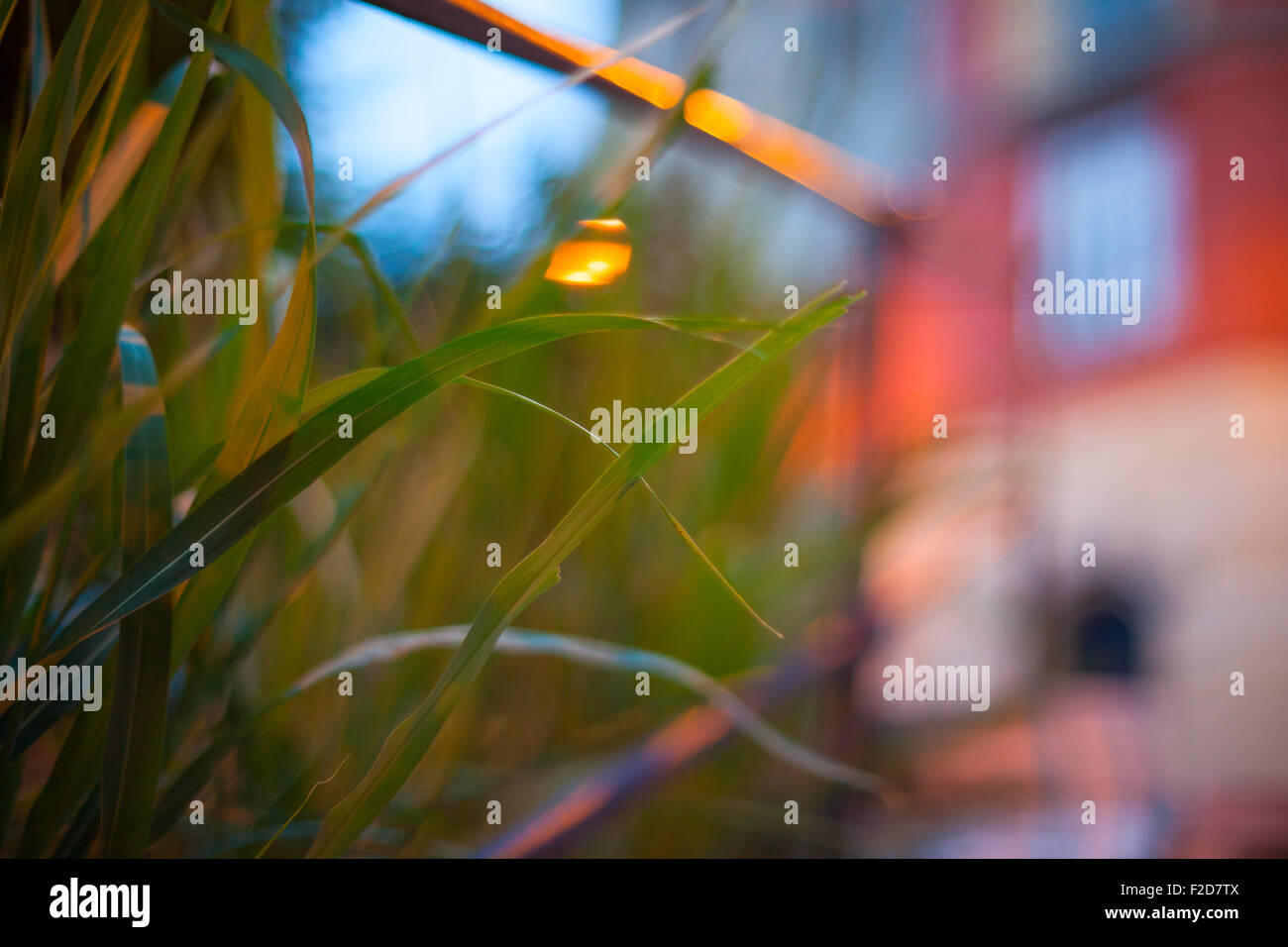 Lawn sunset hi-res stock photography and images - Alamy