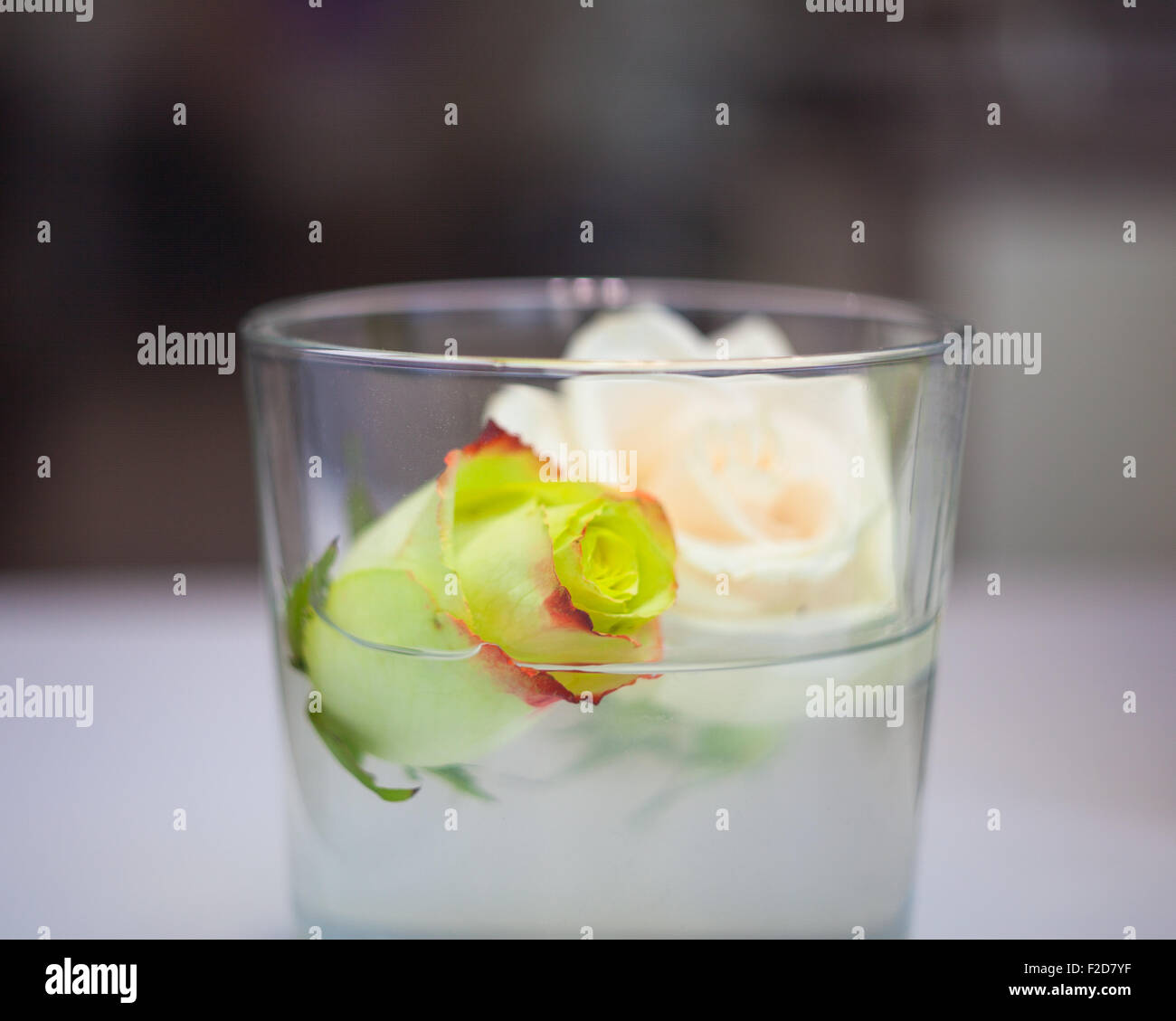 Close up of two reses inside the glass Stock Photo - Alamy