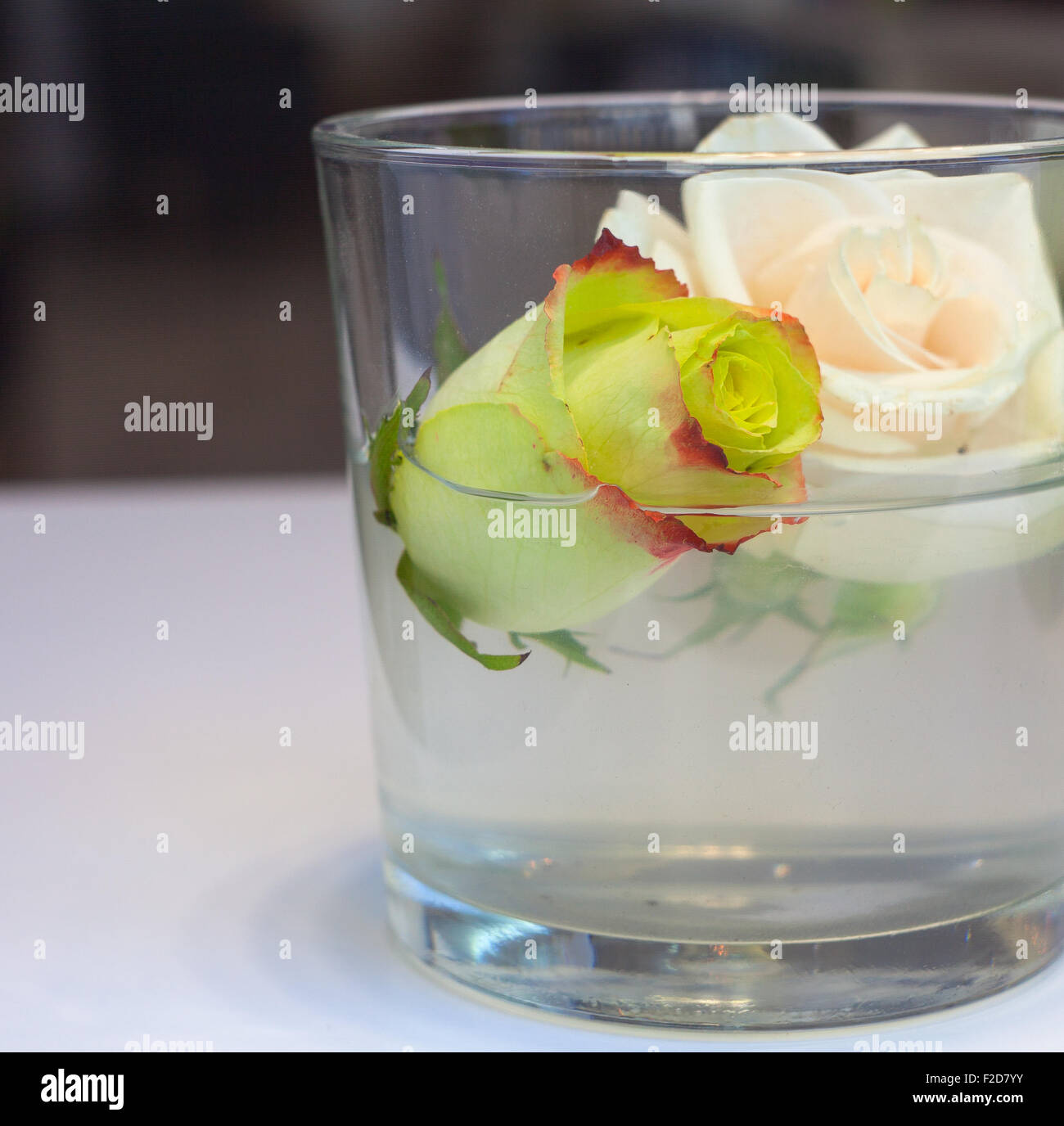 Inside the glass hi-res stock photography and images - Alamy