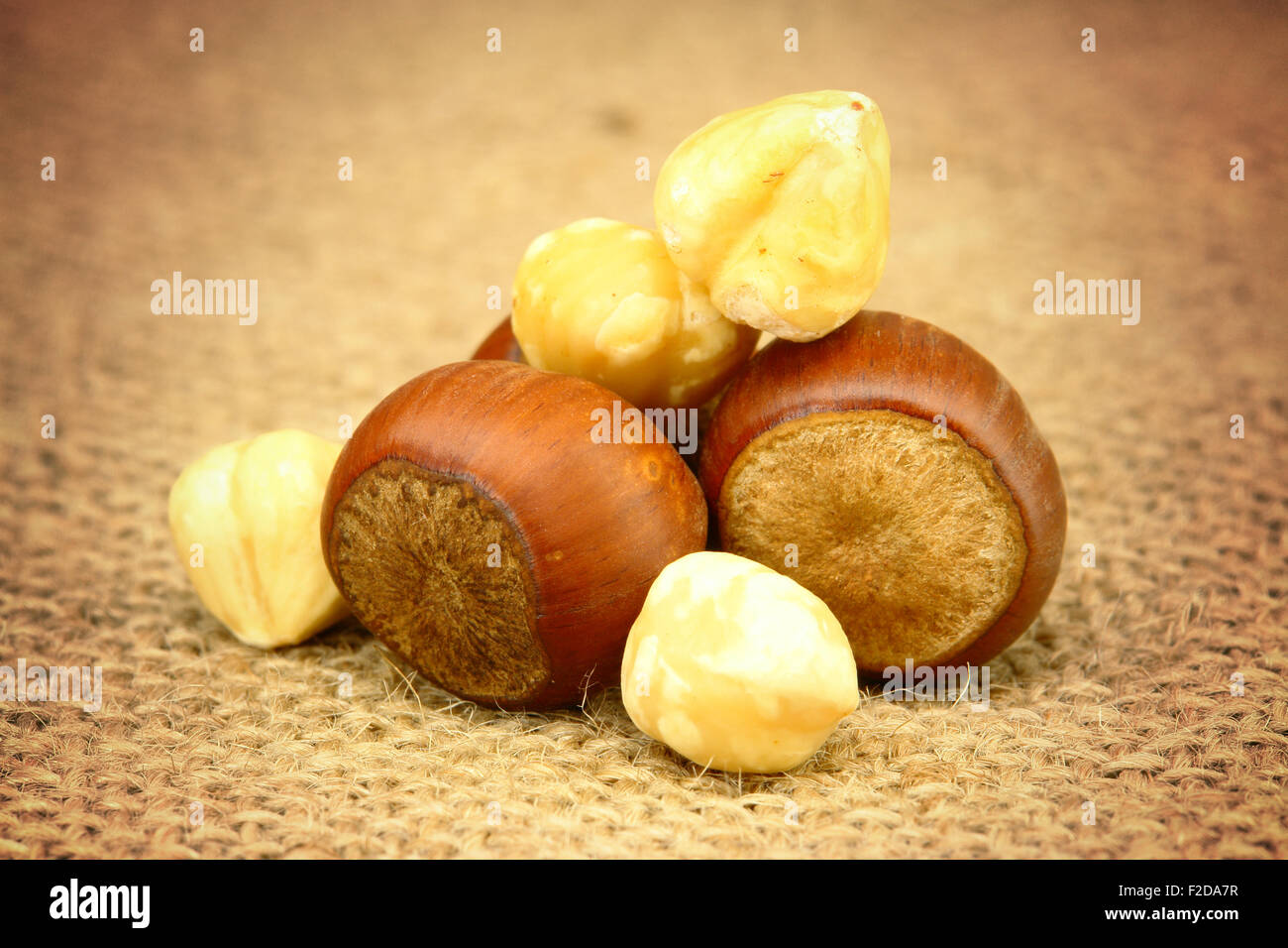 Hazelnut macro view hi-res stock photography and images - Alamy