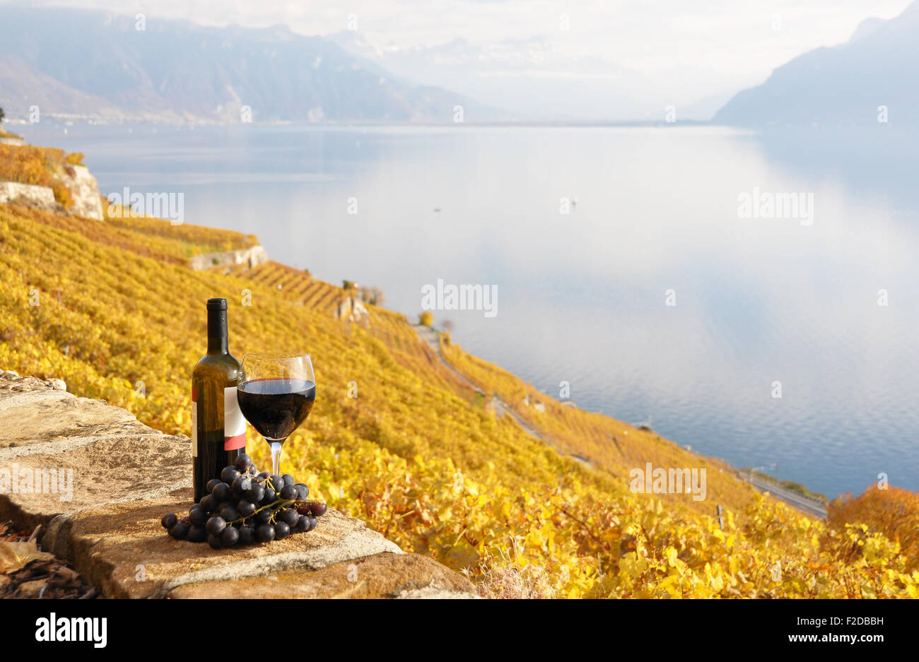 Red wine and grapes on the terrace of vineyard in Lavaux region ...