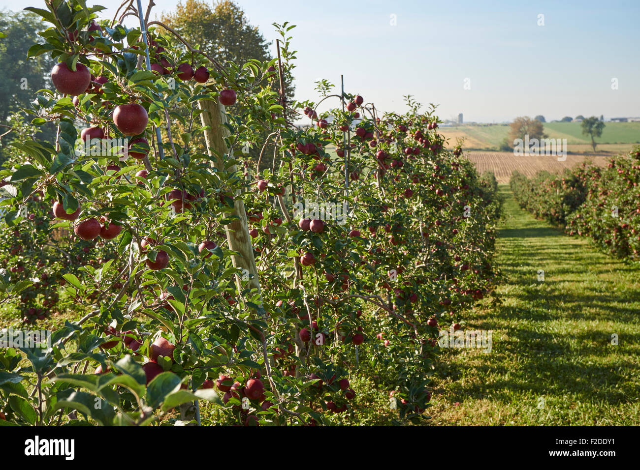 Pennsylvania lancaster county bird in hand hi-res stock photography and ...