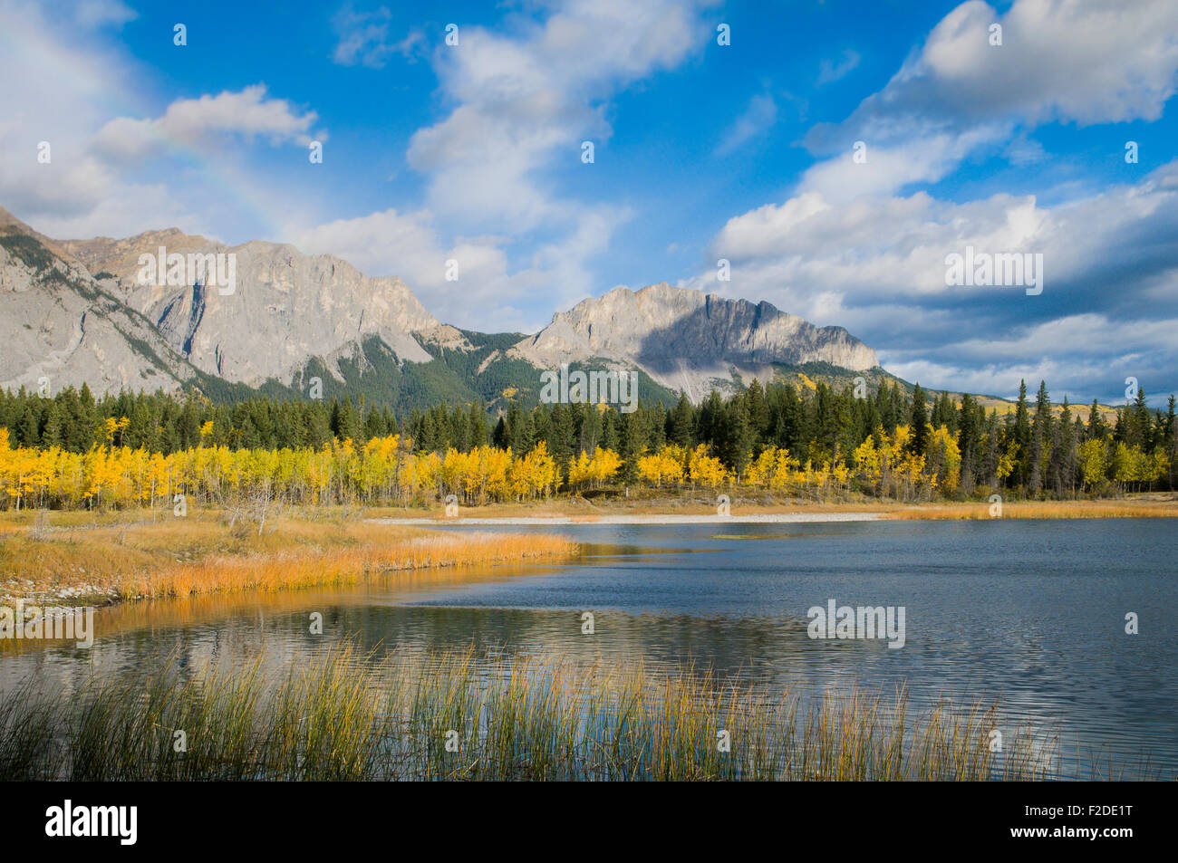 Alberta alberta bow valley provincial park canada middle lake hi-res ...